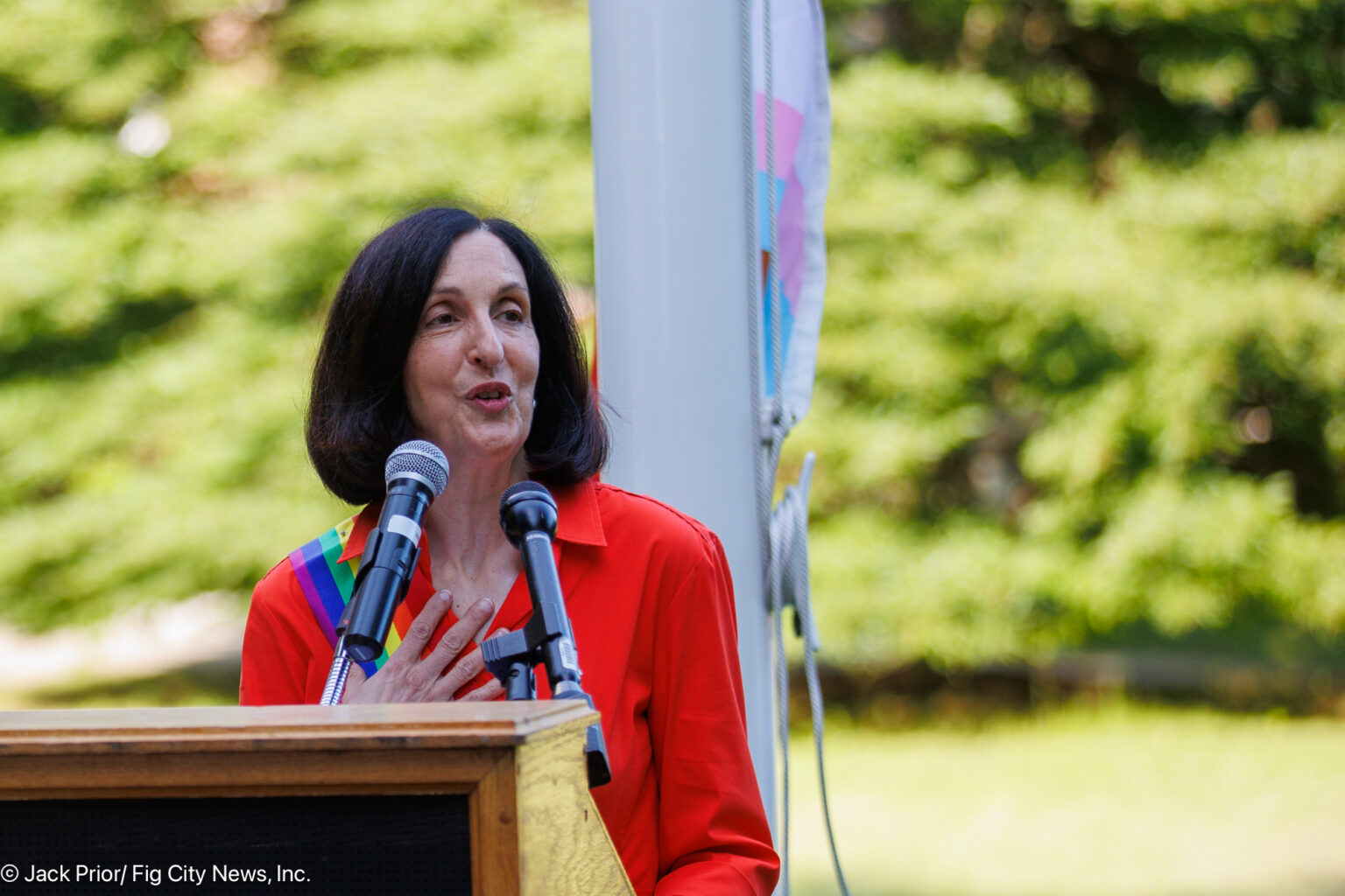 Pride Flag Raising Ceremony (slide show) - Fig City News