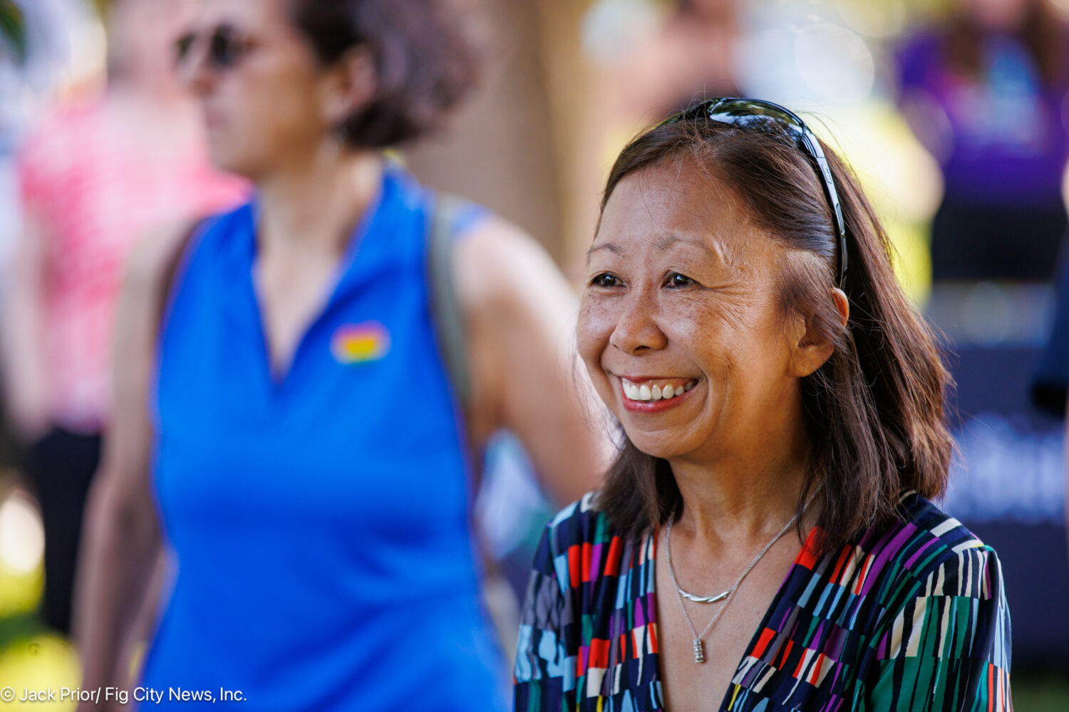 Pride Flag Raising Ceremony (slide show) - Fig City News