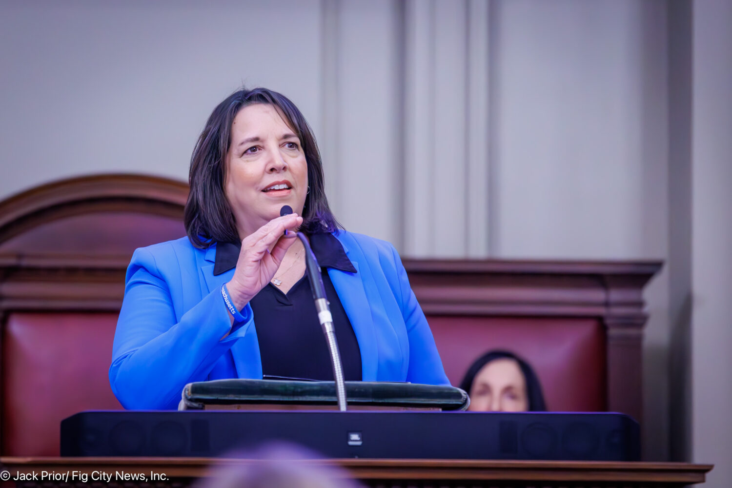 Mayor Fuller’s Final State of the City Address – Fig City News